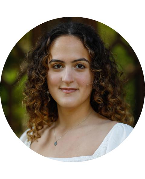 Climate Economics Journalism Fellowship - NYU Stern